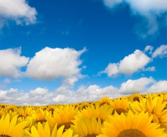 Polygon Engineering Ltd.::. - Product 4